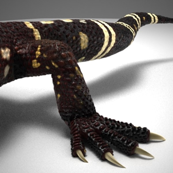 beaded lizard 3d model