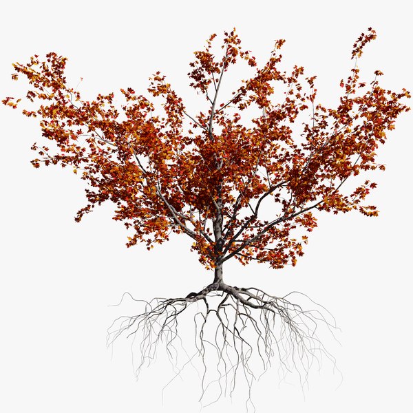 Maple Tree Blender Models for Download | TurboSquid