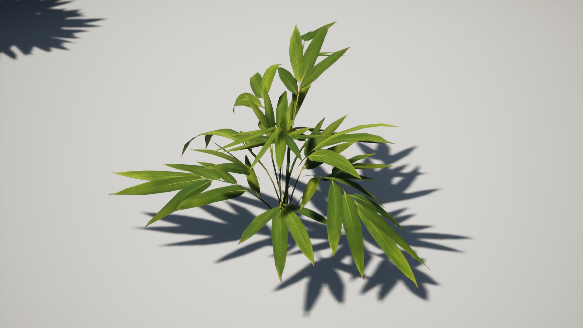 3D Bamboo Bush Pack - TurboSquid 1805150