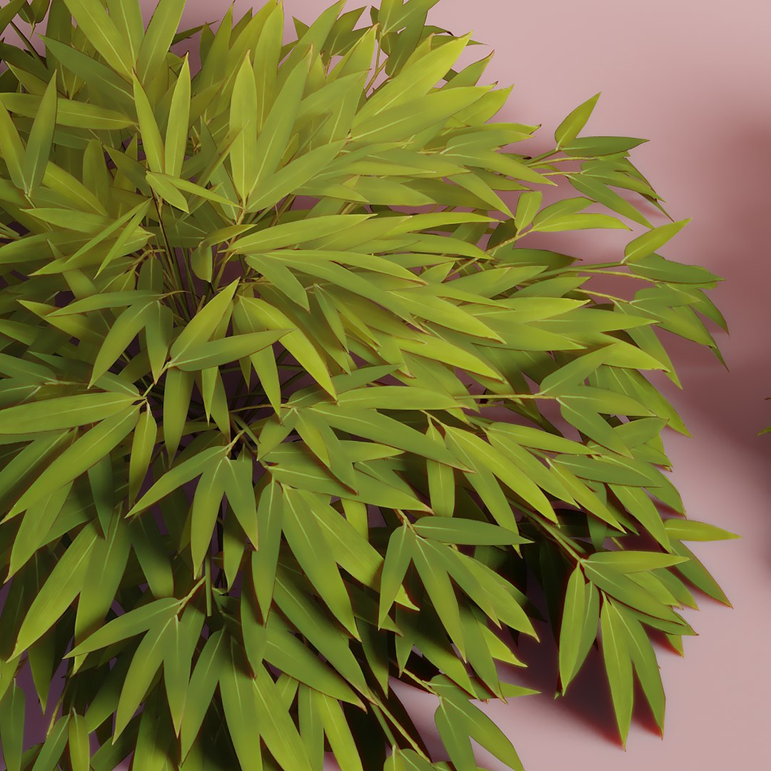 3D Bamboo Bush Pack - TurboSquid 1805150
