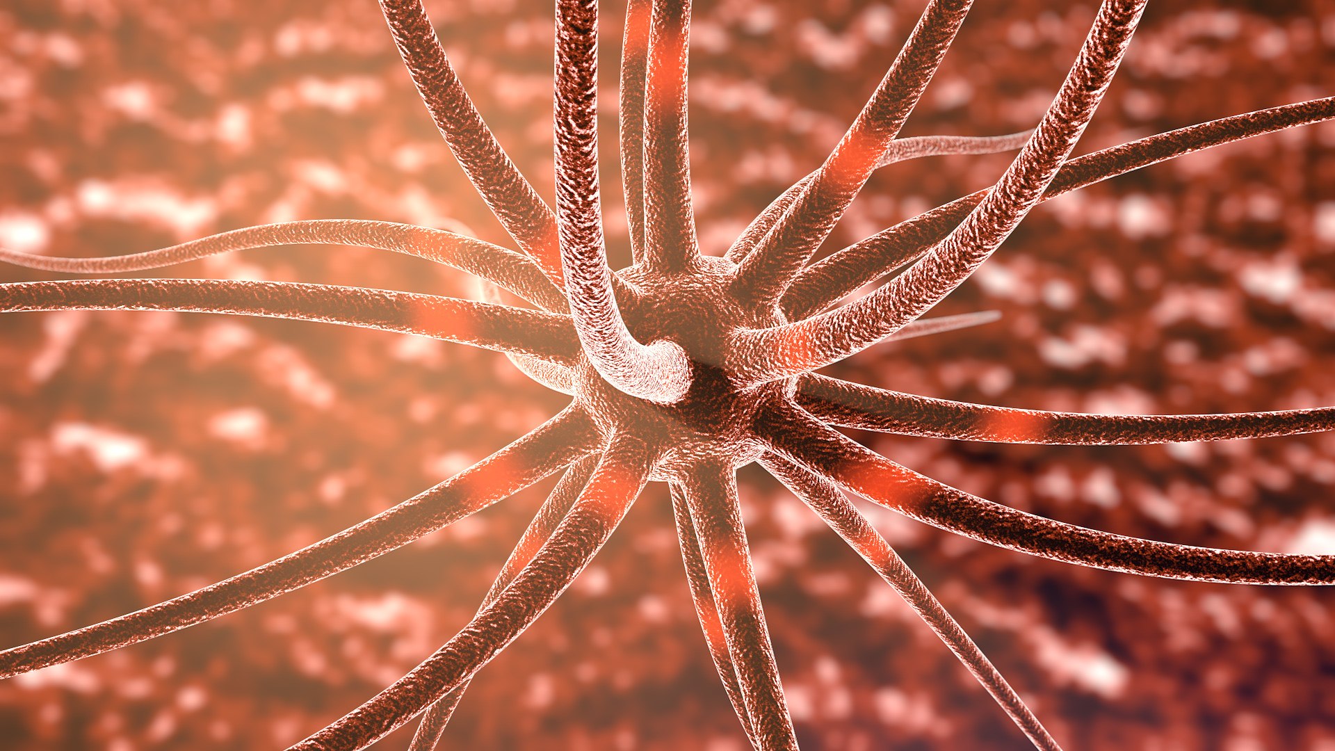 3D Model Brain Cell - TurboSquid 2083542