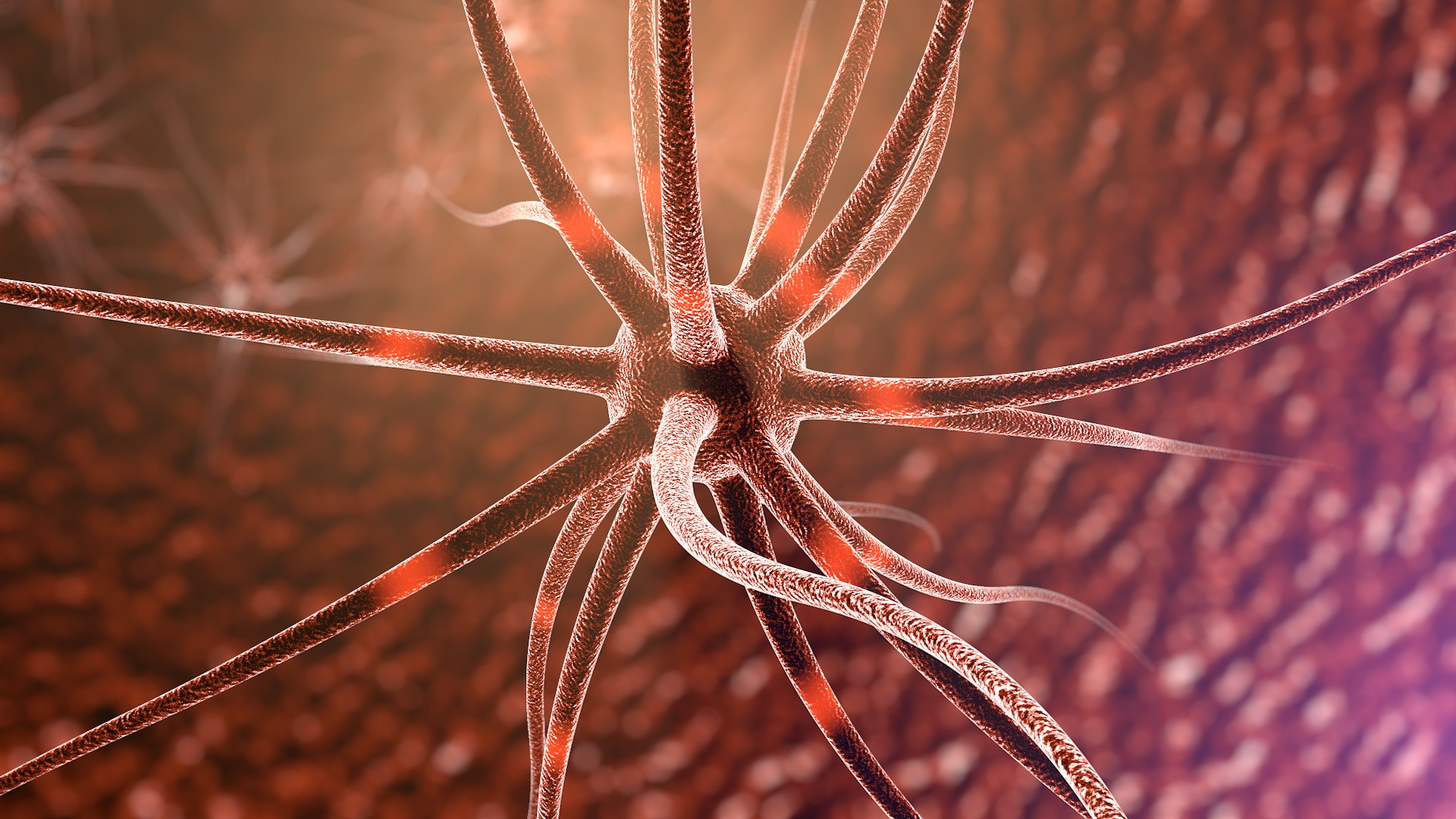 3D Model Brain Cell - TurboSquid 2083542