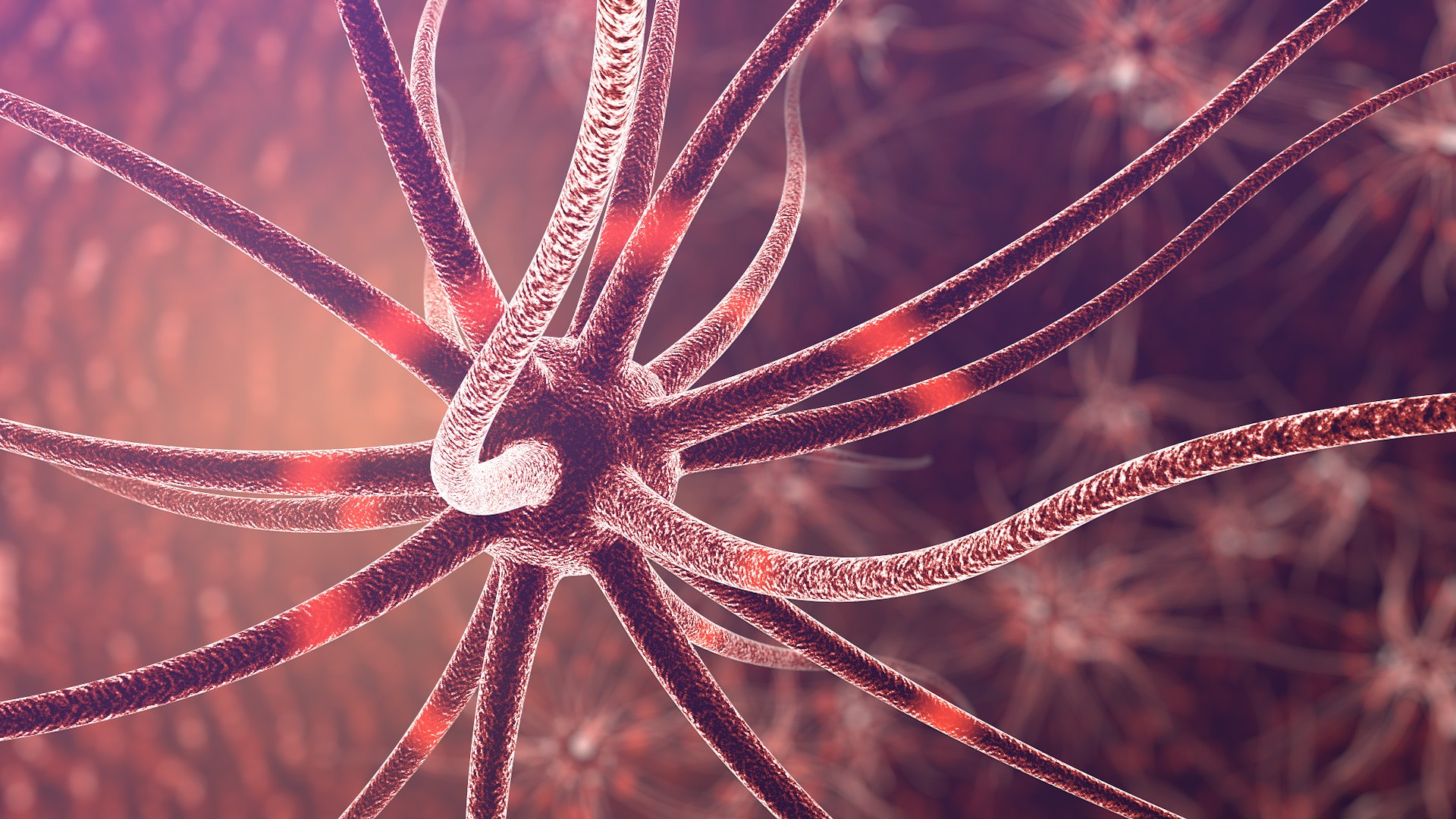 3D Model Brain Cell - TurboSquid 2083542