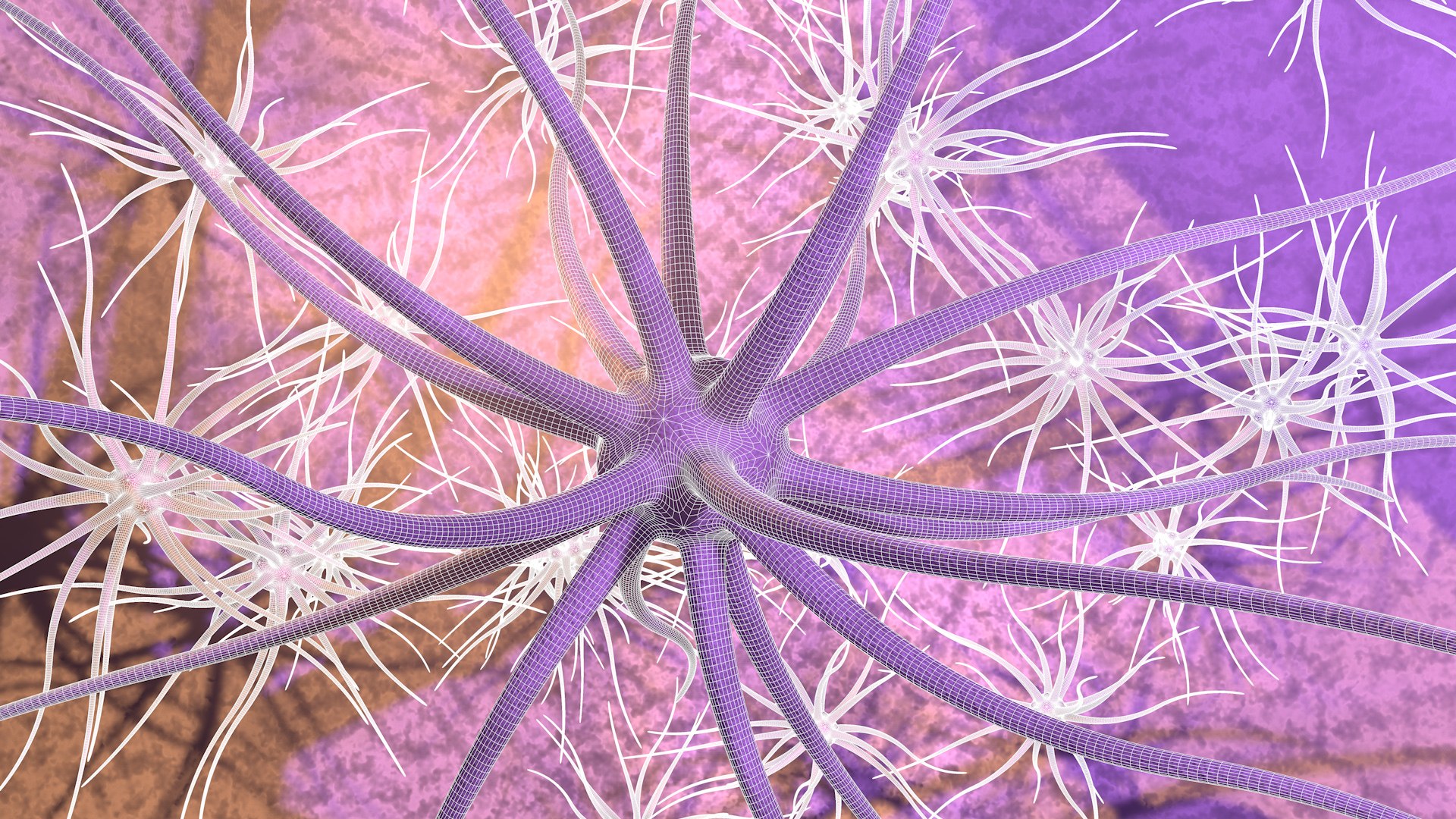 3D Model Brain Cell - TurboSquid 2083542