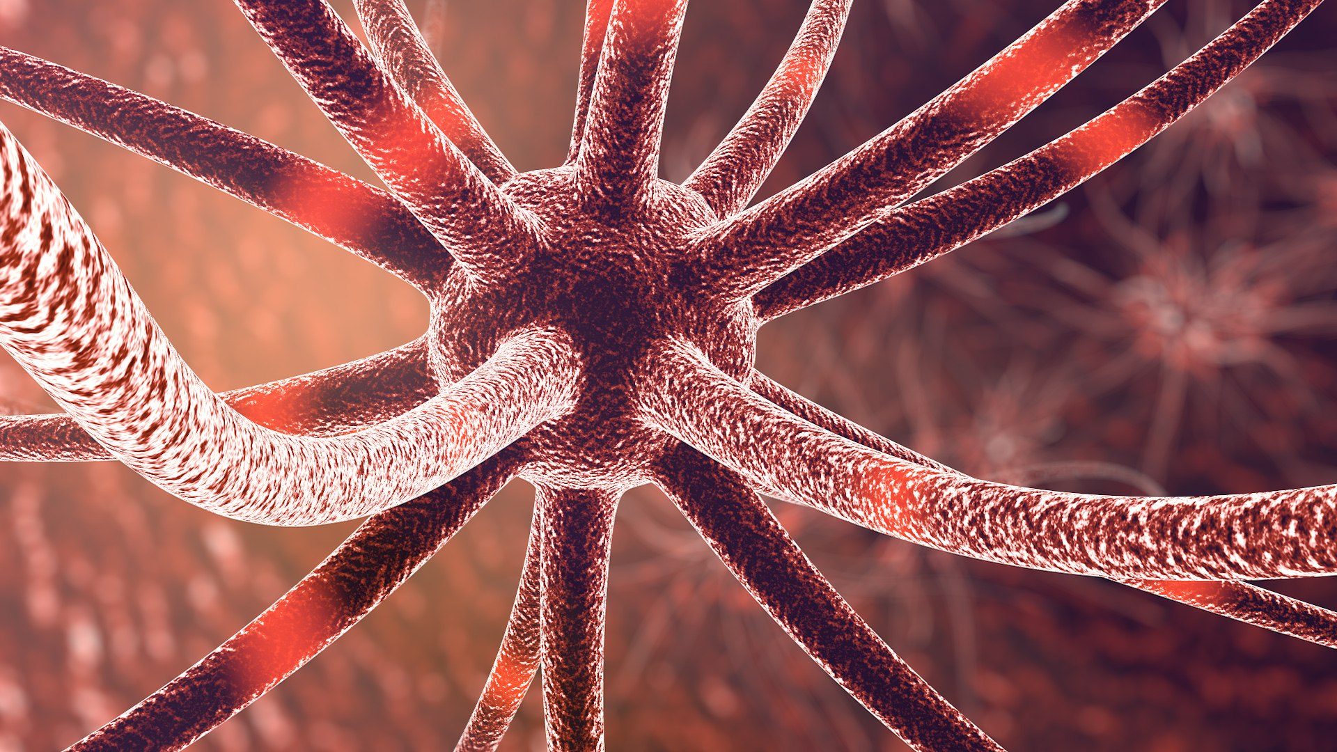 3D Model Brain Cell - TurboSquid 2083542