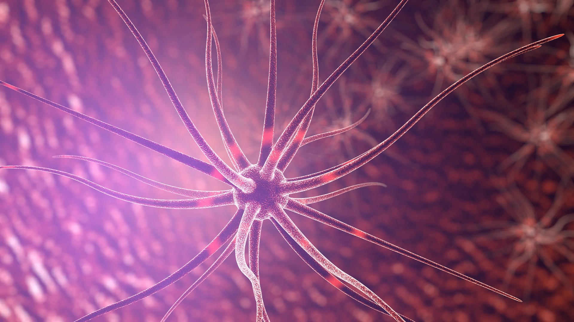 3D Model Brain Cell - TurboSquid 2083542