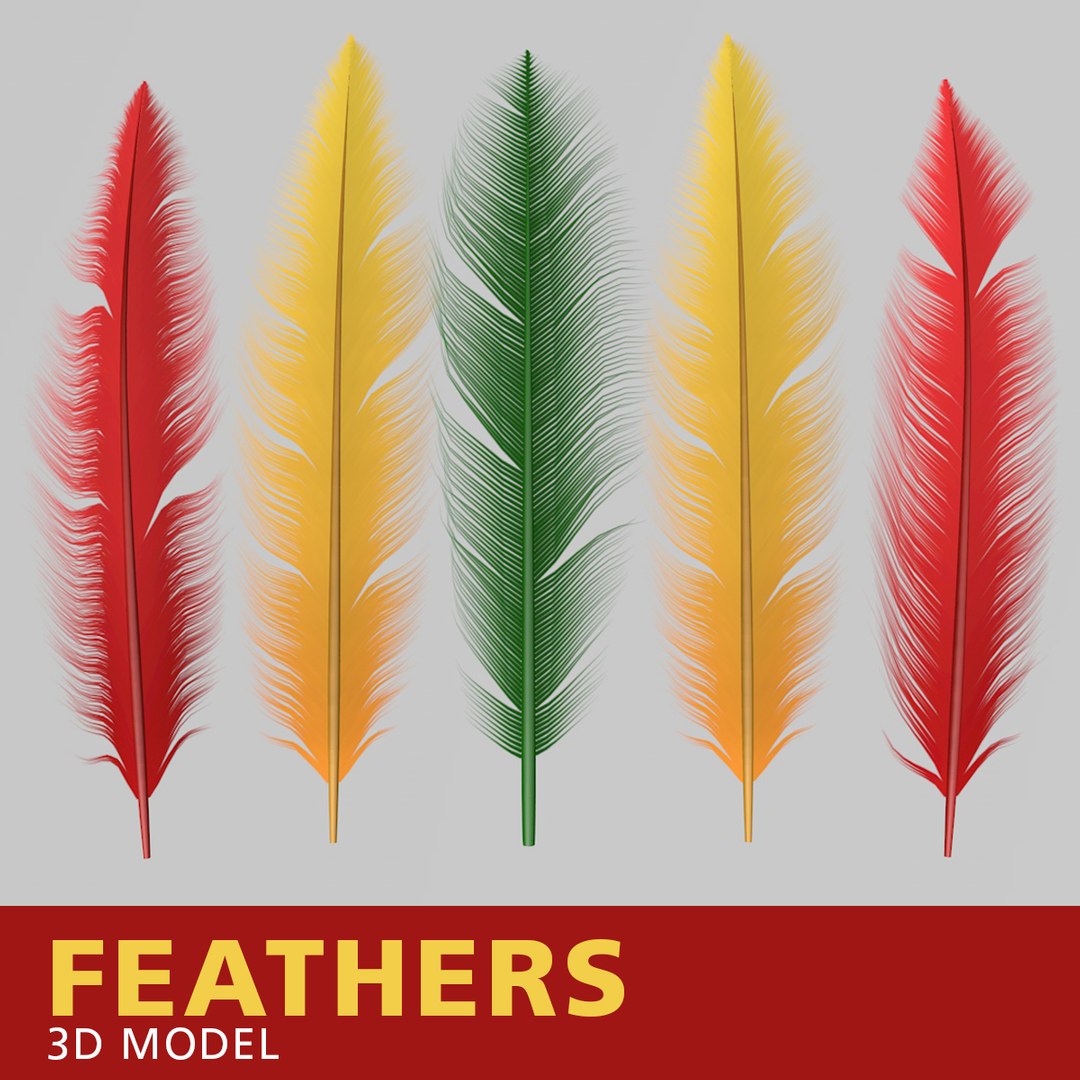 3D Feathers - TurboSquid 1911290