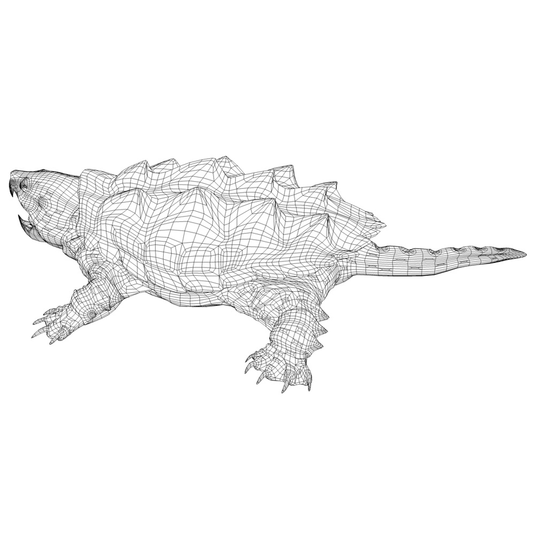 Alligator snapping turtle model | 1146993 | TurboSquid