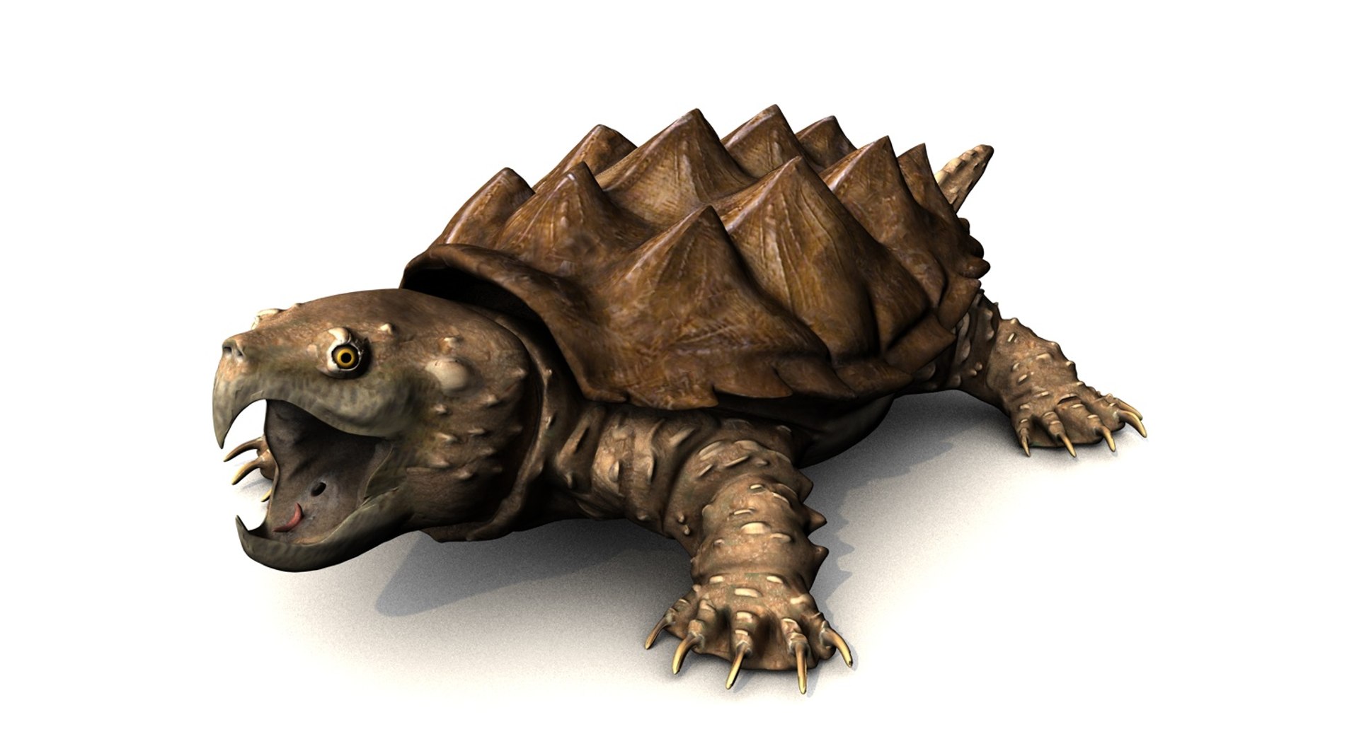 Alligator Snapping Turtle Model | 1146993 | TurboSquid