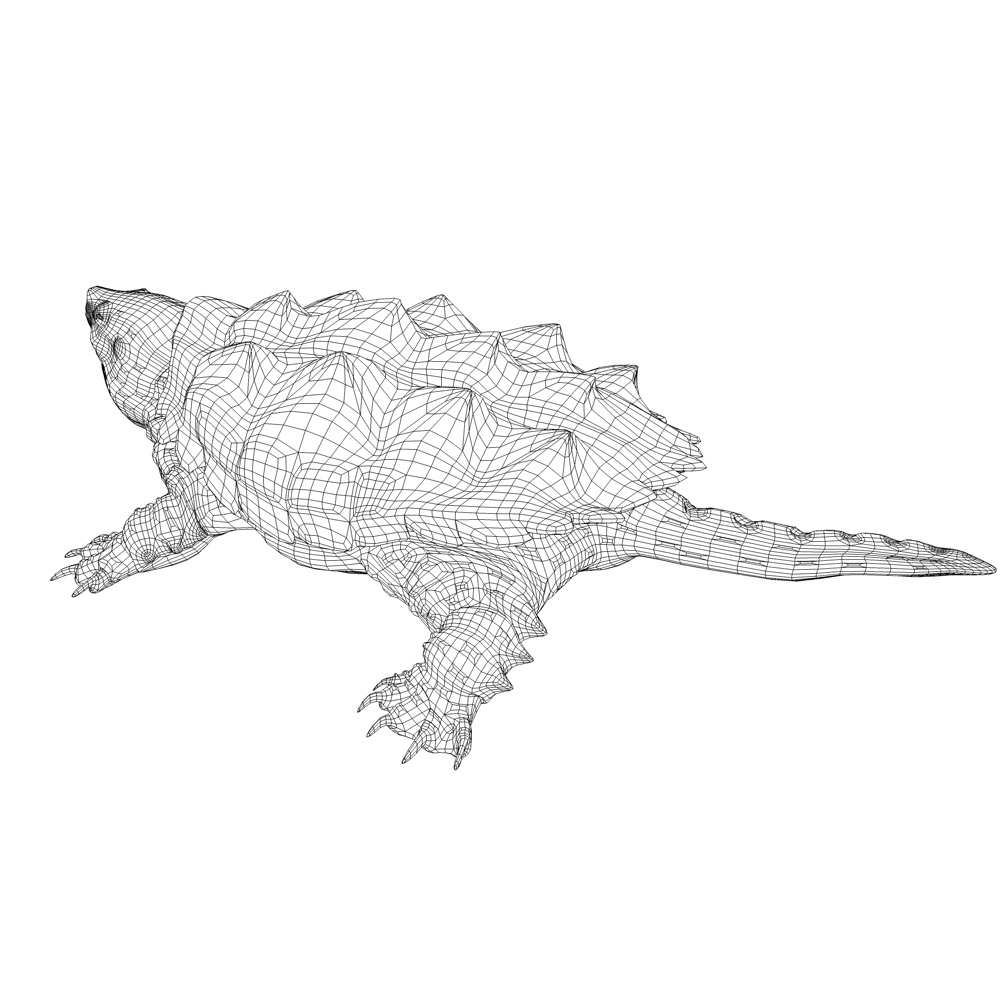 Alligator snapping turtle model | 1146993 | TurboSquid