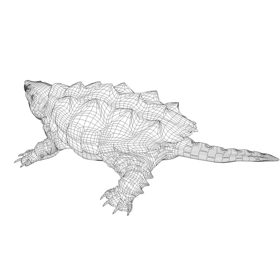 Alligator Snapping Turtle Model | 1146993 | TurboSquid