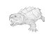 Alligator Snapping Turtle Model | 1146993 | TurboSquid