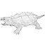 Alligator Snapping Turtle Model | 1146993 | TurboSquid
