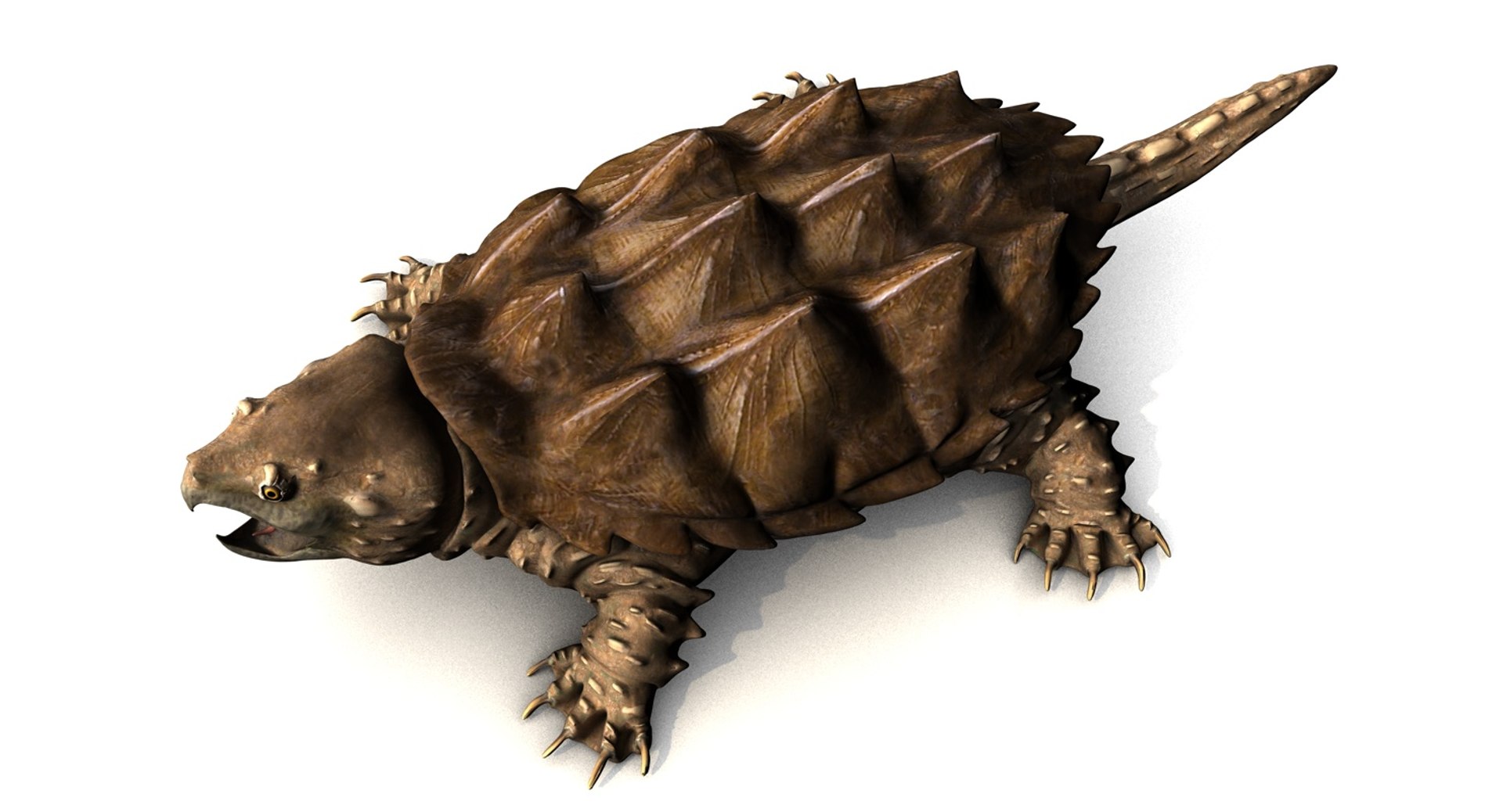 Alligator Snapping Turtle Model | 1146993 | TurboSquid