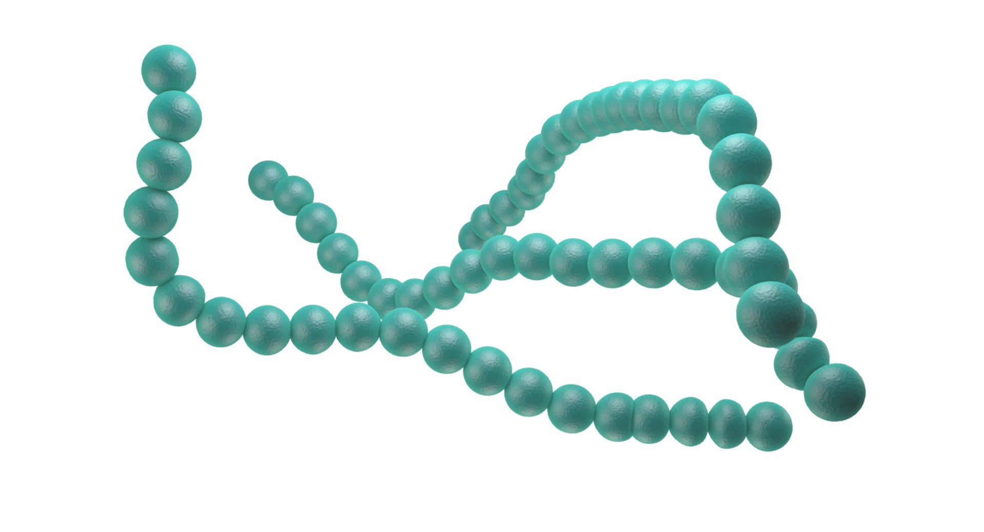 Streptococcus Pyogenes Bacteria 3D Model - TurboSquid 1251302