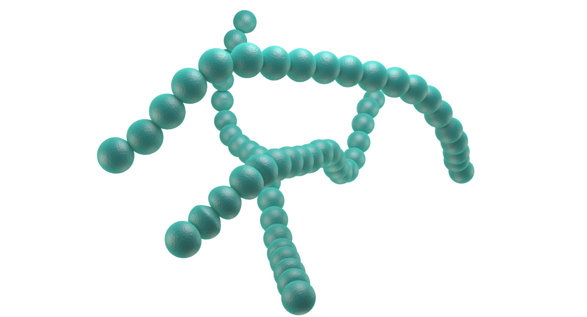 Streptococcus Pyogenes Bacteria 3D Model - TurboSquid 1251302