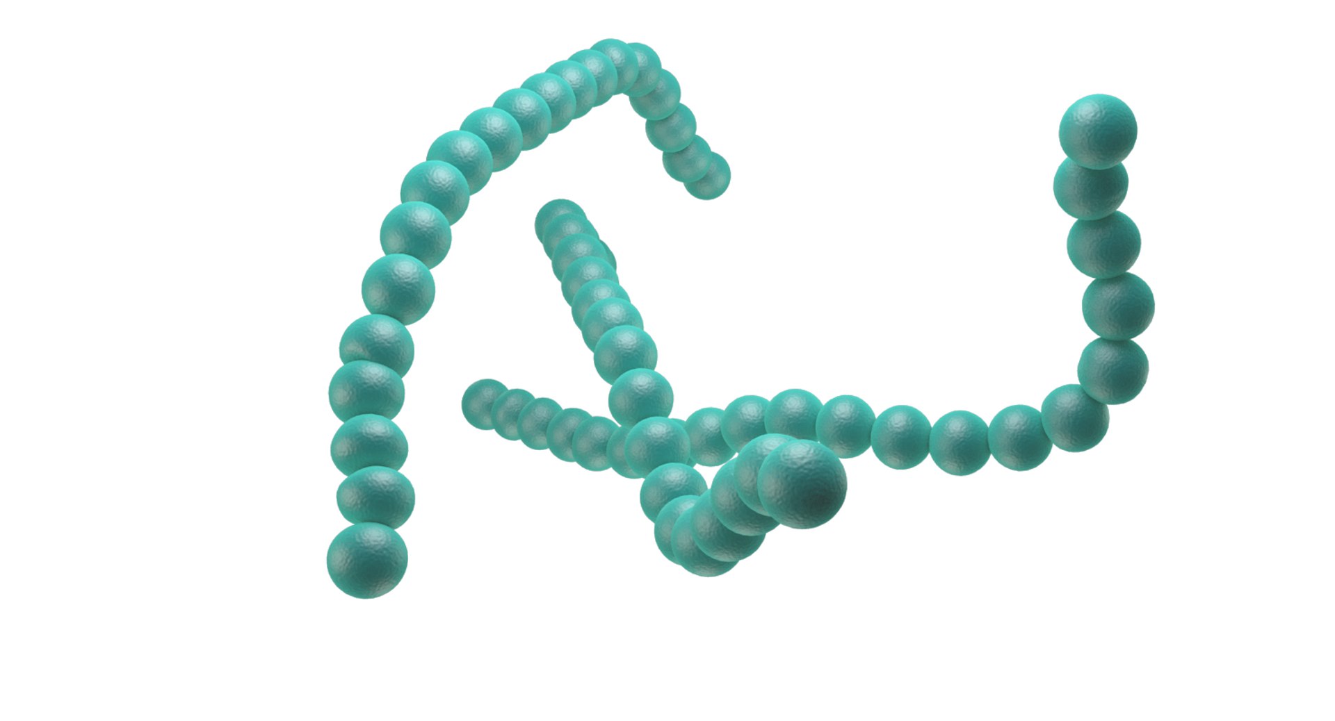 Streptococcus Pyogenes Bacteria 3D Model - TurboSquid 1251302