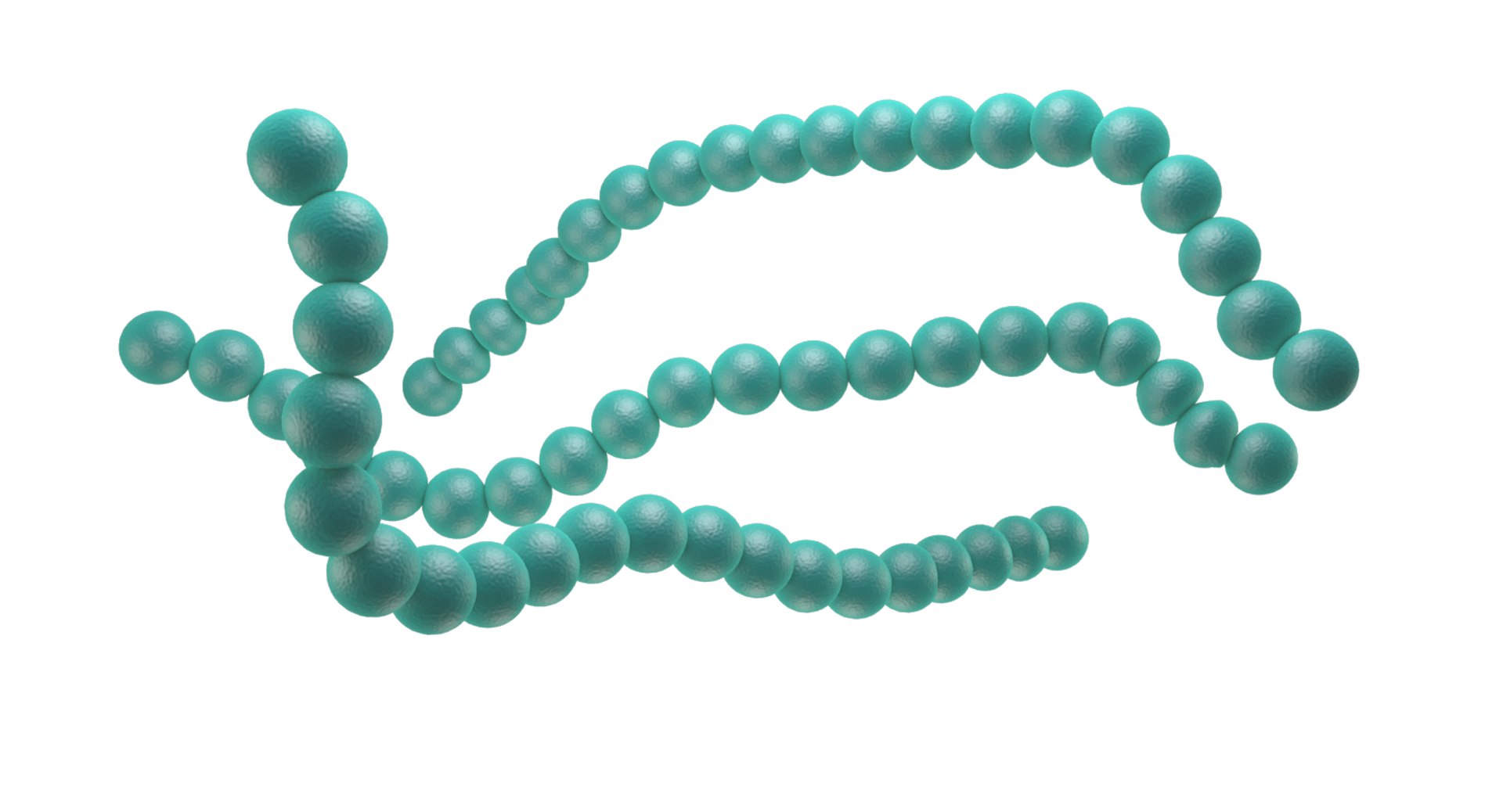 Streptococcus Pyogenes Bacteria 3D Model - TurboSquid 1251302