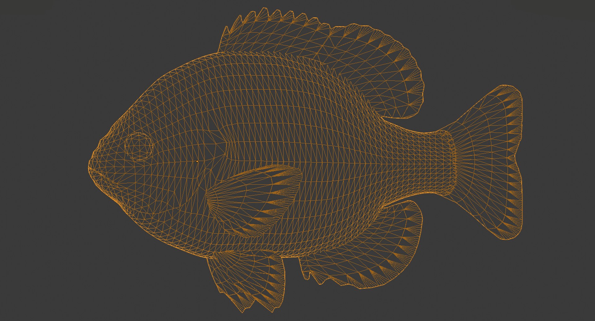 Bluegill Swimming 3d 3ds