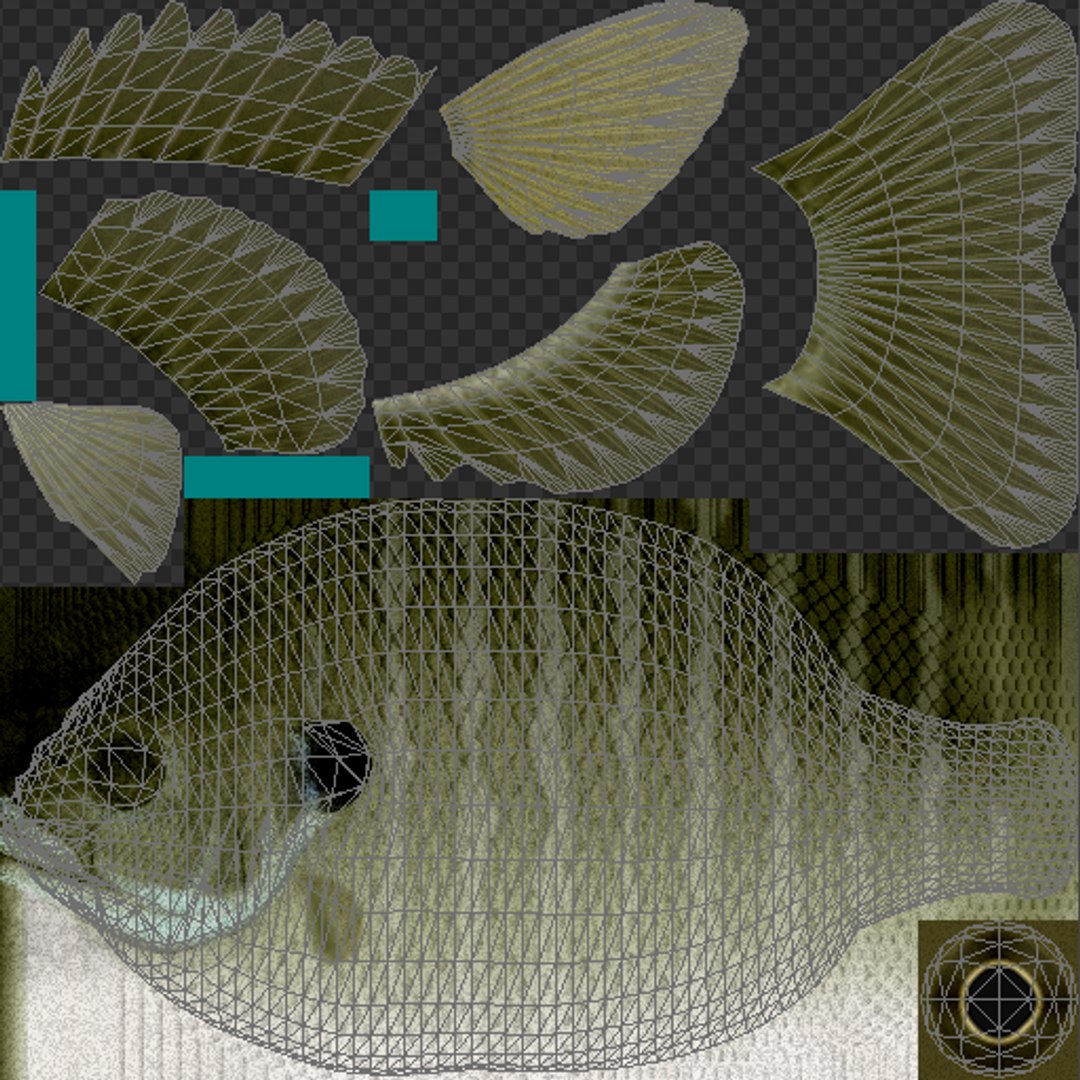 Bluegill Swimming 3d 3ds