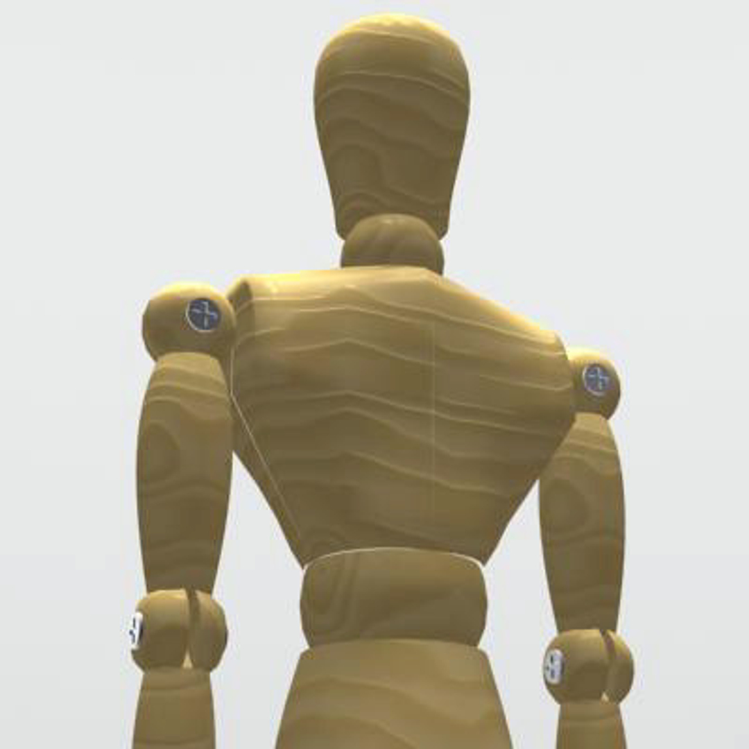 free human 3d model
