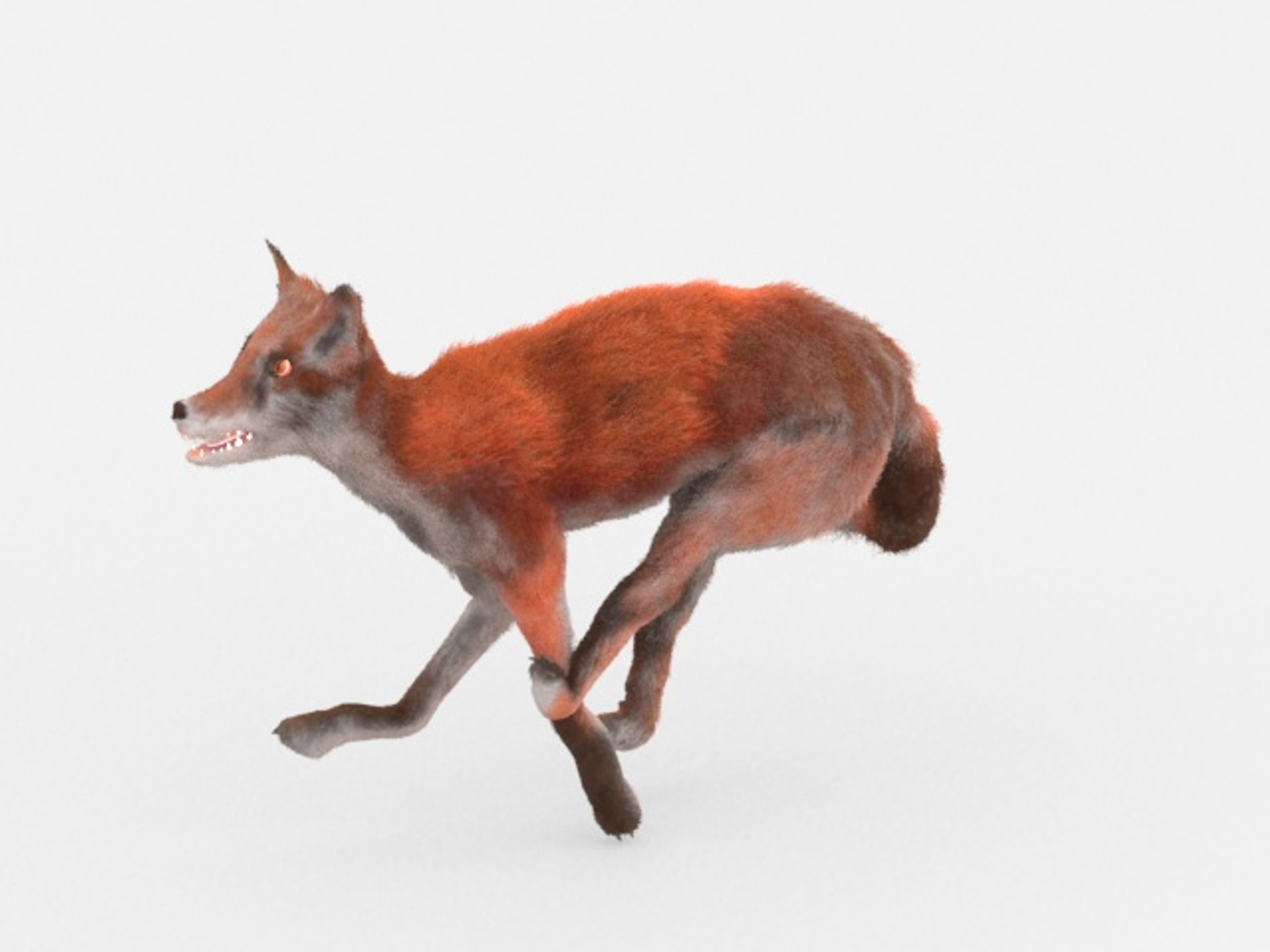 3D Realistic Fox - TurboSquid 1170901