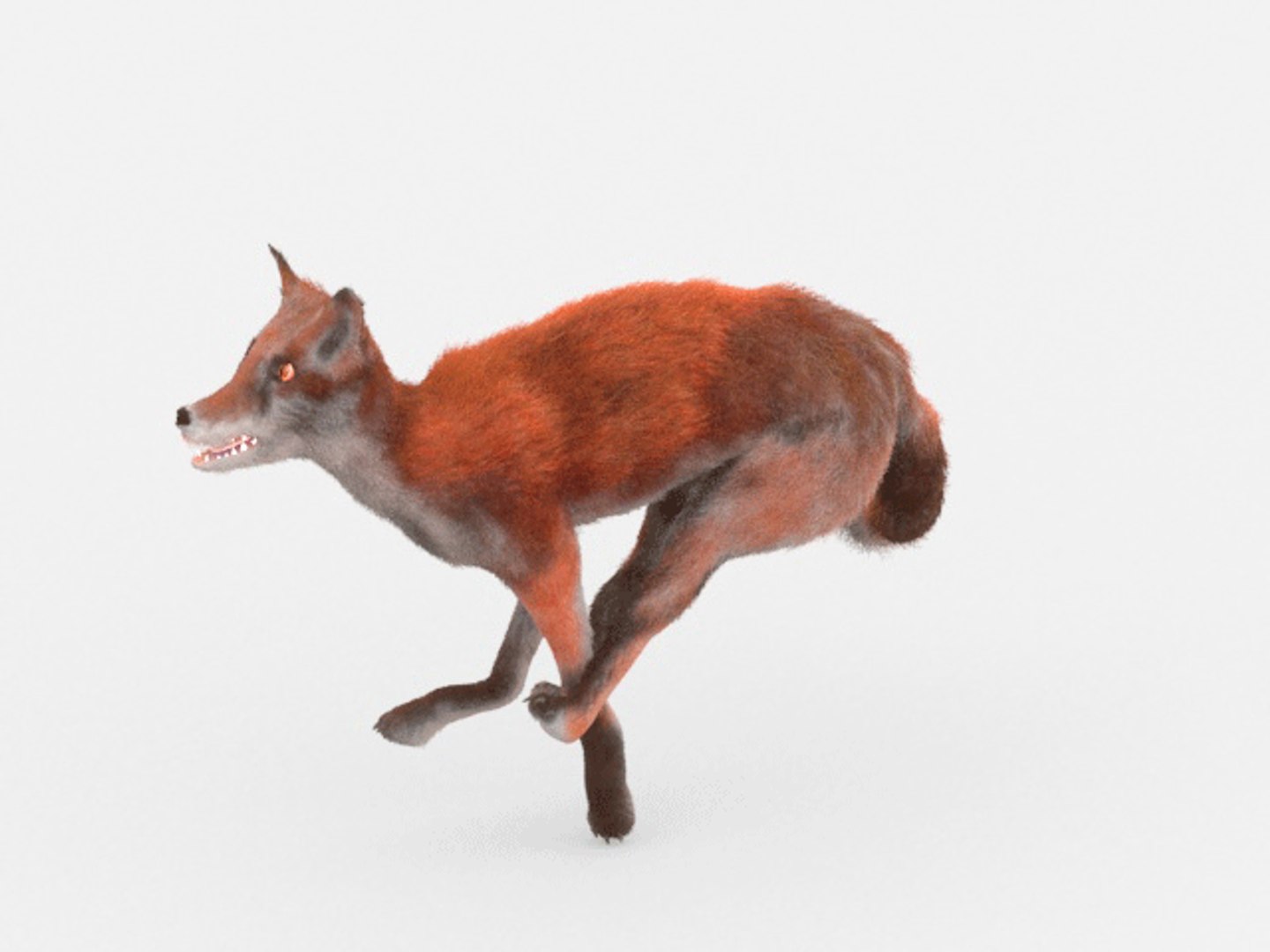 3D Realistic Fox - TurboSquid 1170901