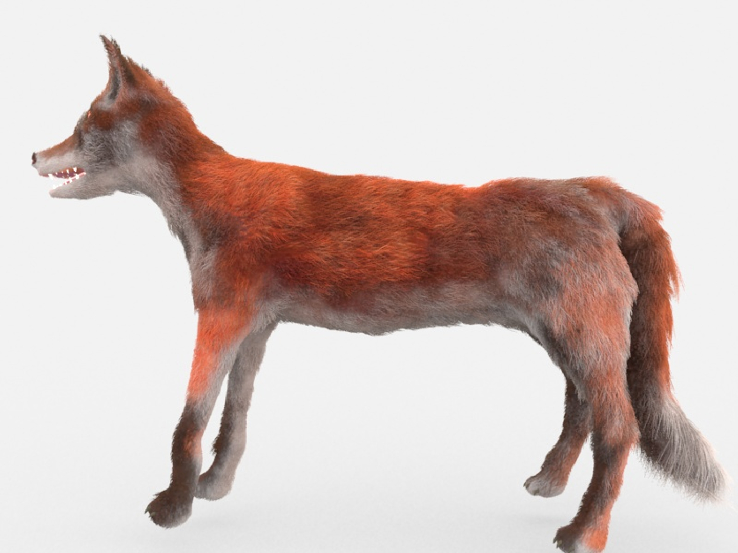 3D Realistic Fox - TurboSquid 1170901