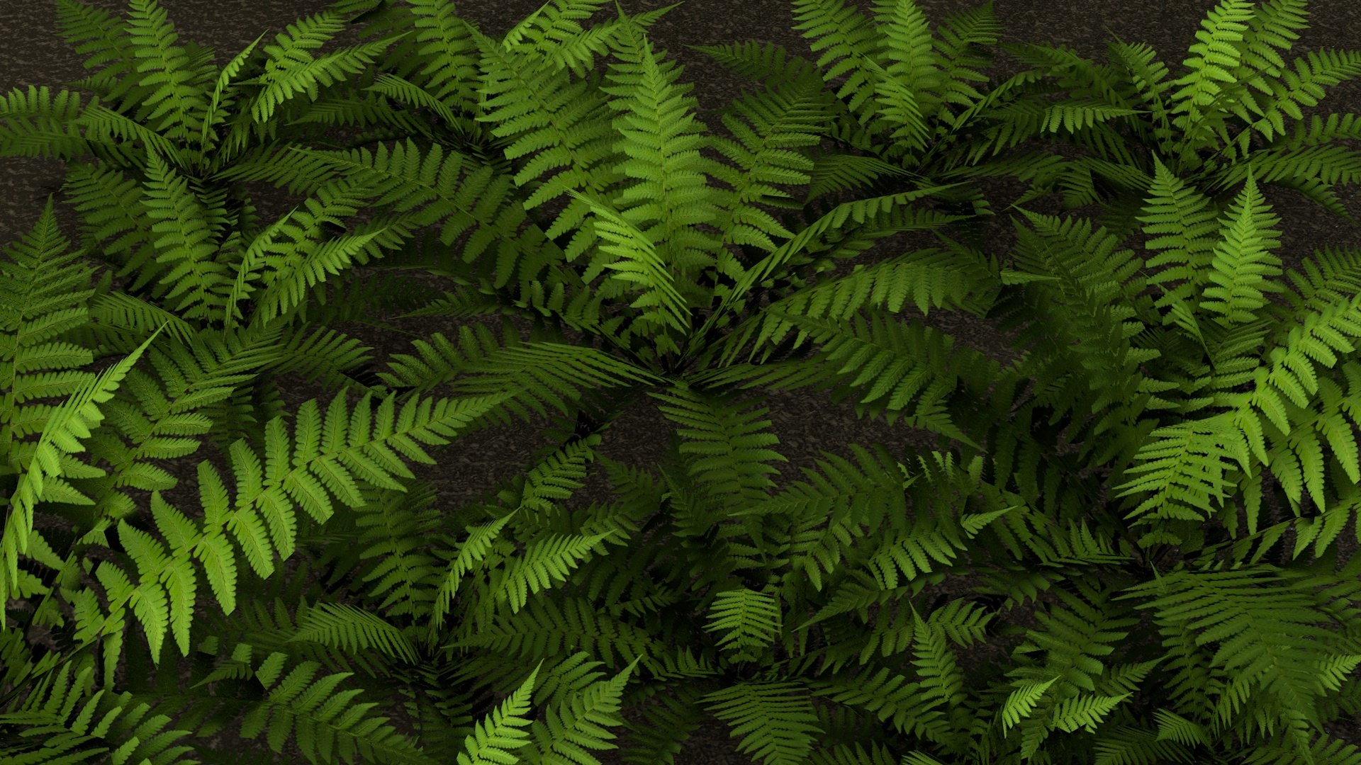 Tropical Fern Low Poly 3D - TurboSquid 2054684