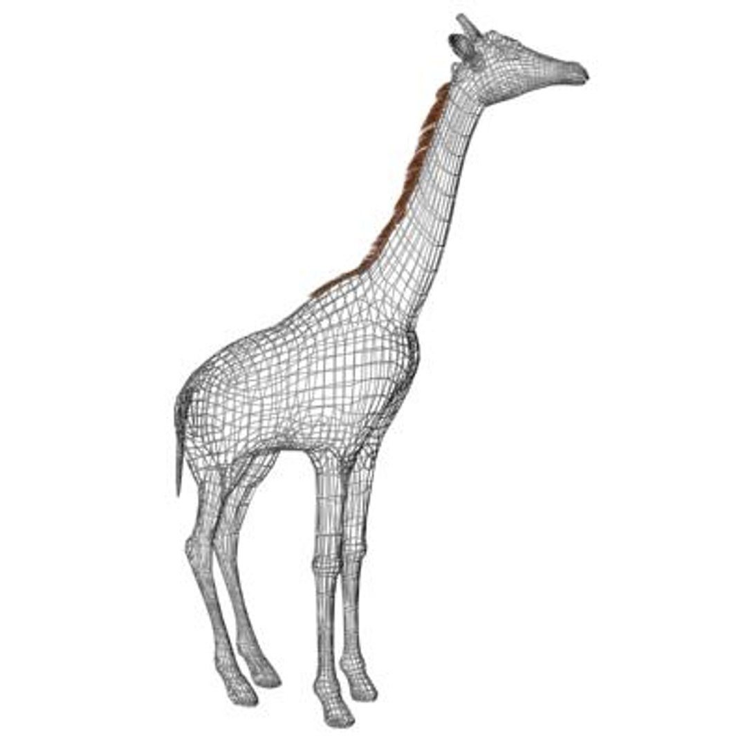 3d Giraffe