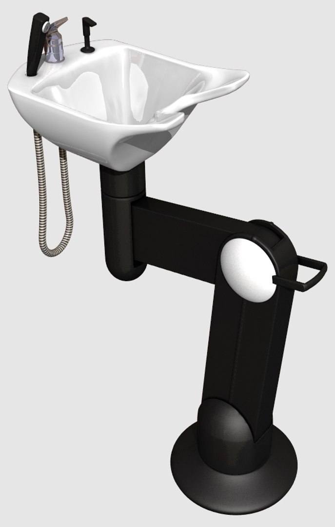 3d Shampoo Basin Model