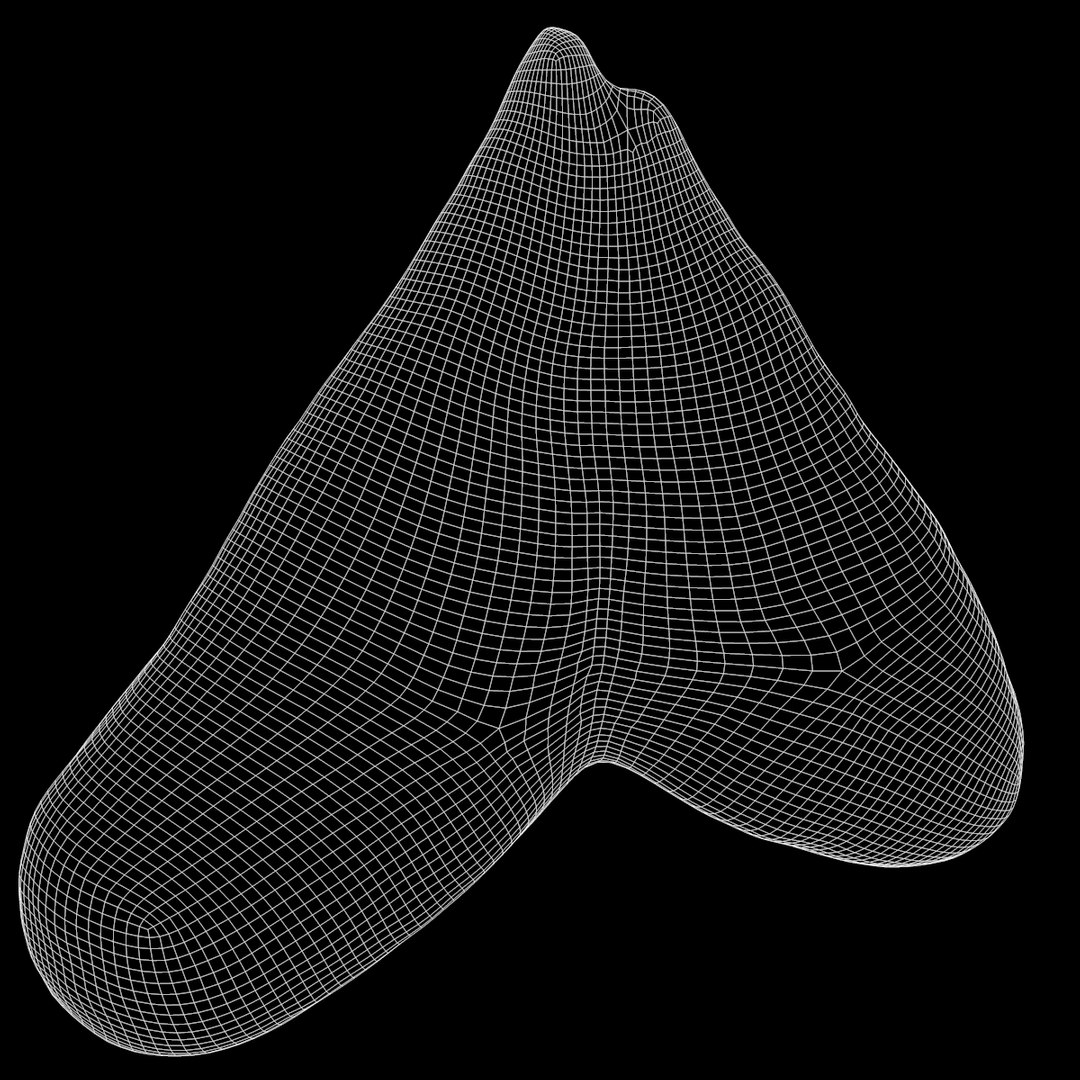 Organ Anatomy Science 3D Model - TurboSquid 1389779