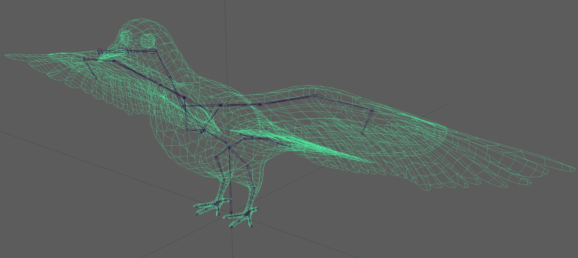 Pigeon And Dove Rig Collection 3D Model - TurboSquid 2200274