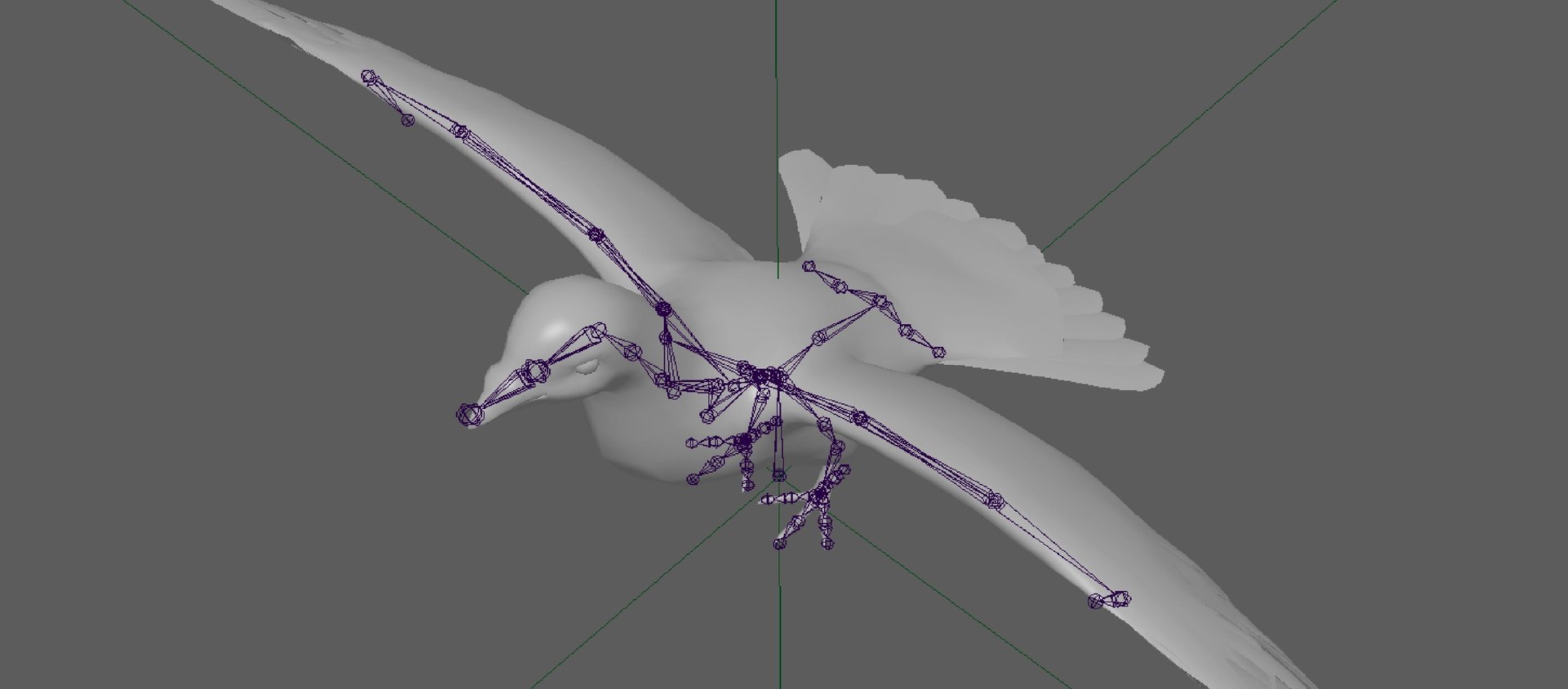 Pigeon And Dove Rig Collection 3D Model - TurboSquid 2200274