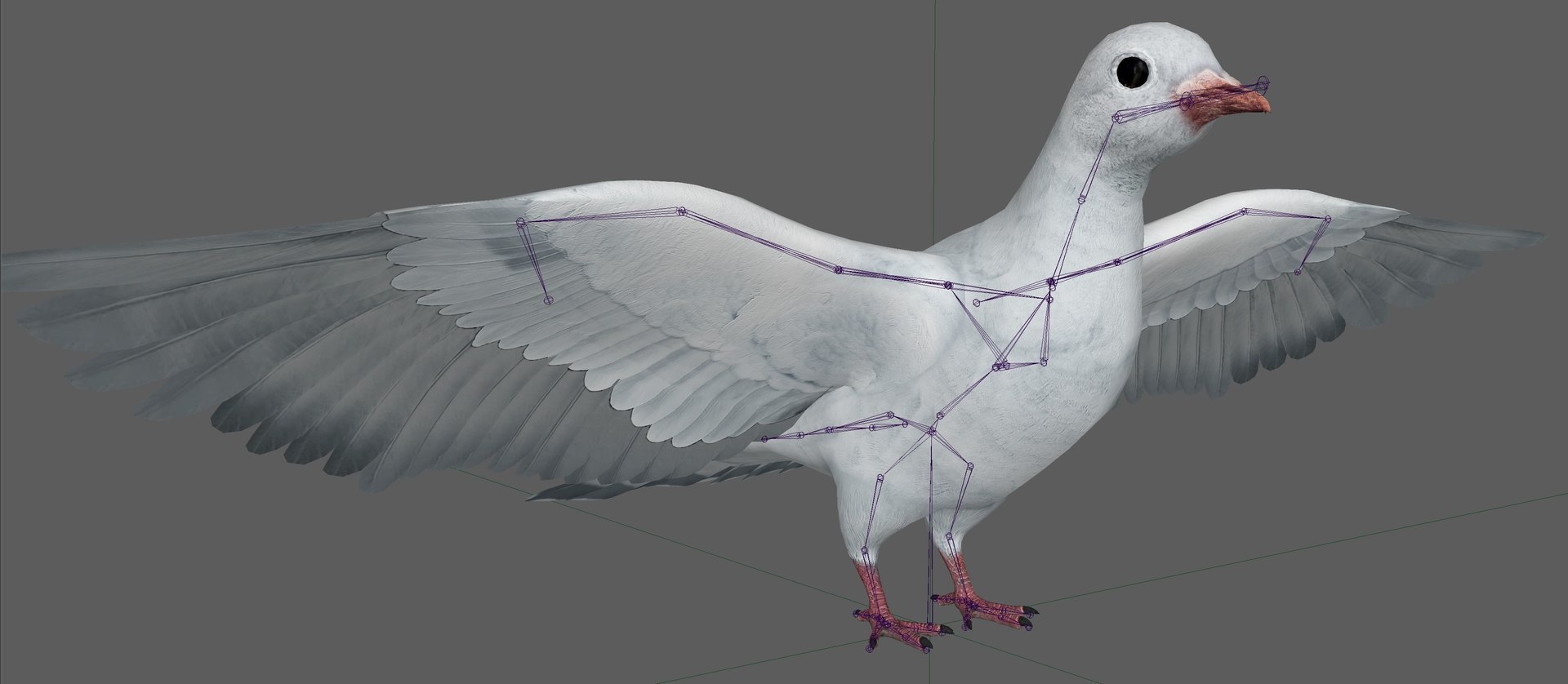 Pigeon And Dove Rig Collection 3D Model - TurboSquid 2200274
