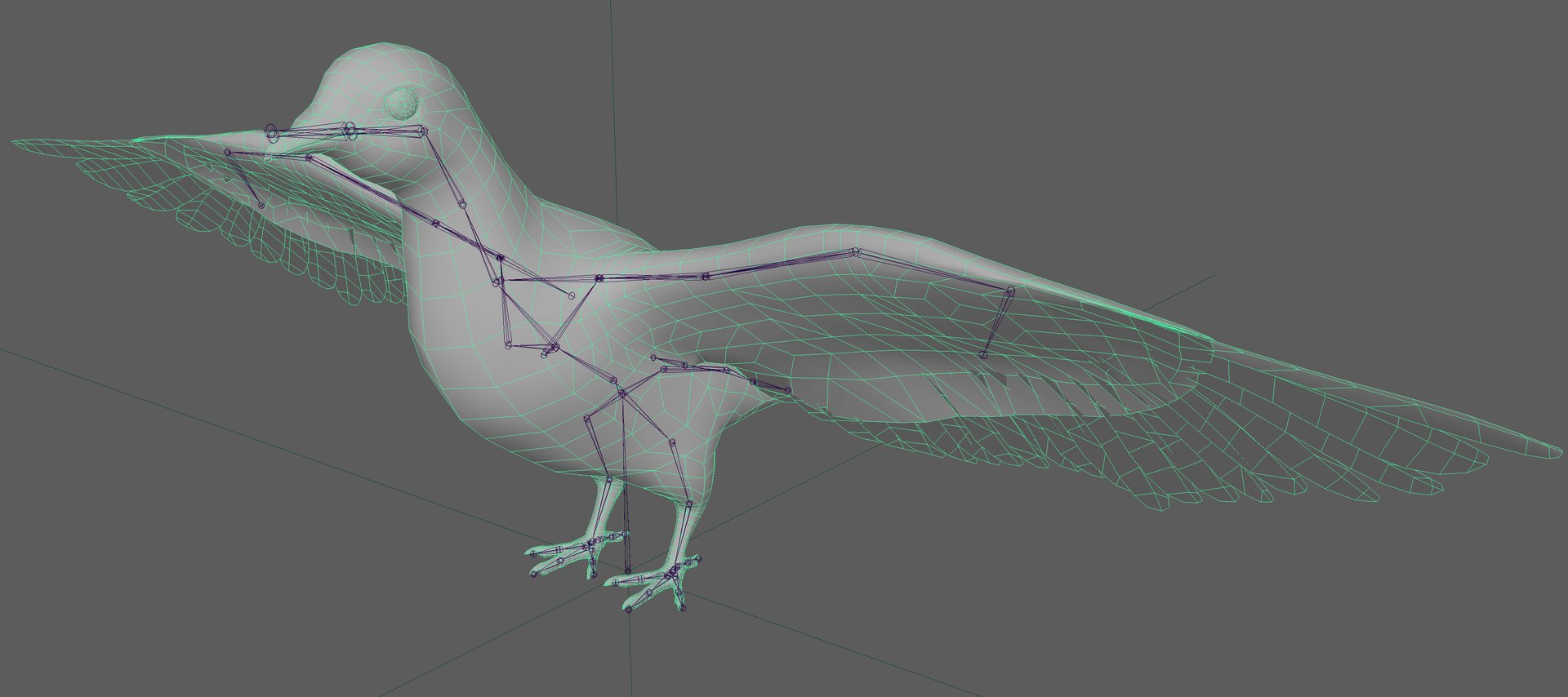 Pigeon And Dove Rig Collection 3D Model - TurboSquid 2200274