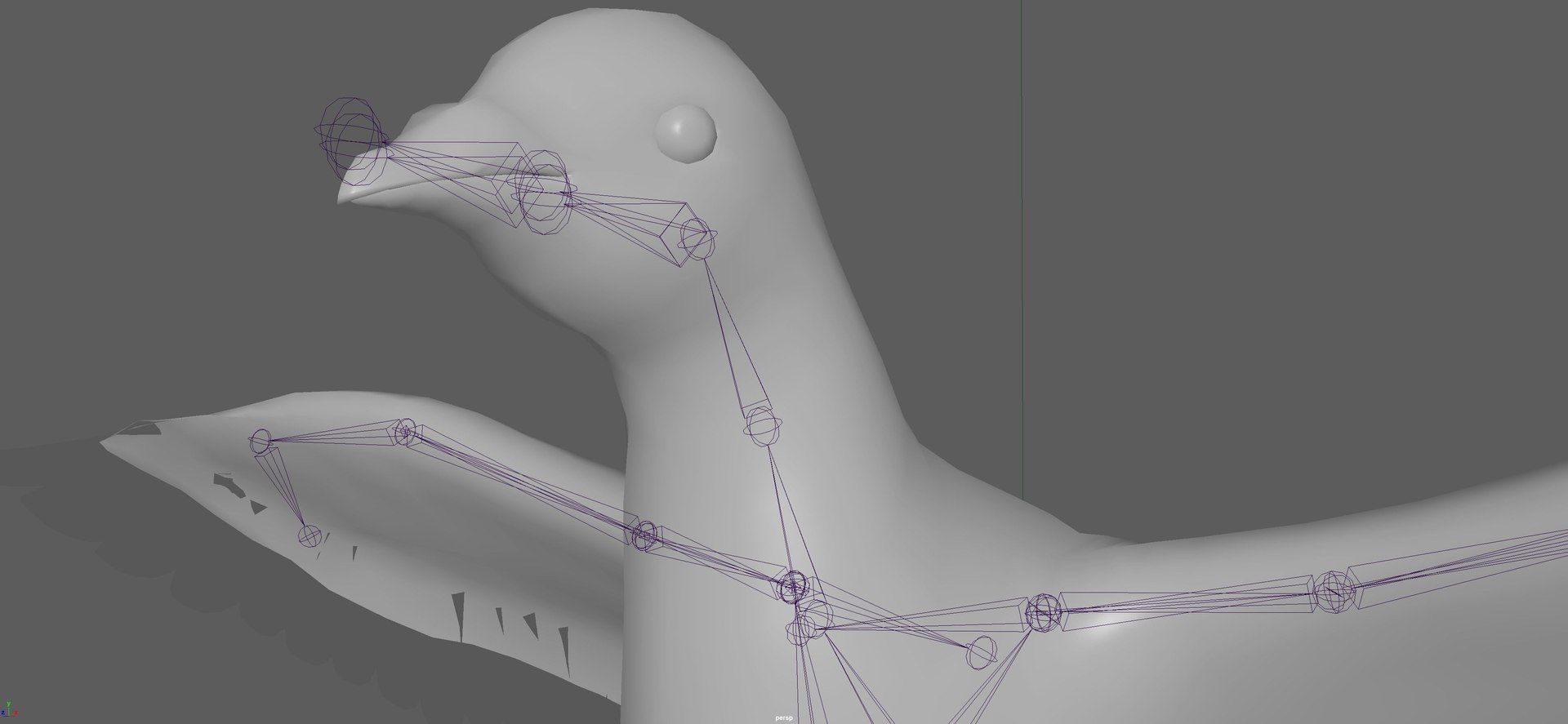 Pigeon And Dove Rig Collection 3D Model - TurboSquid 2200274