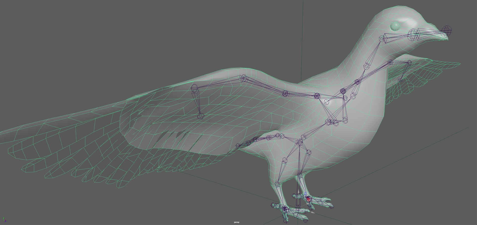 Pigeon And Dove Rig Collection 3D Model - TurboSquid 2200274