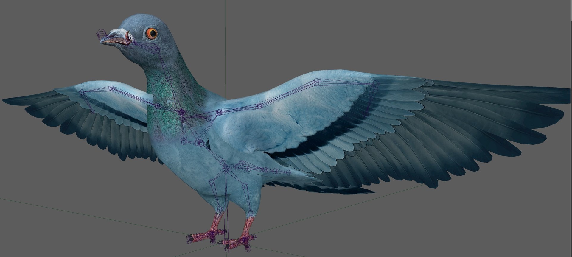 Pigeon And Dove Rig Collection 3D Model - TurboSquid 2200274