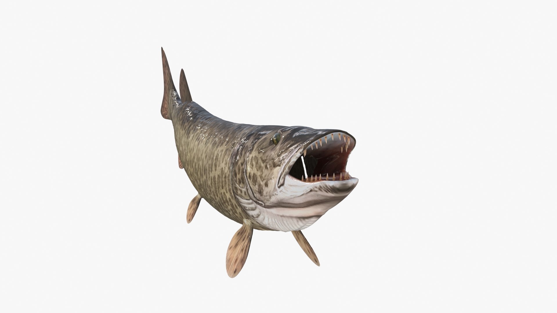 Muskie Model - TurboSquid 1737259