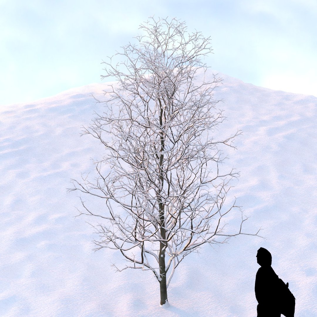 3d Winter Tree