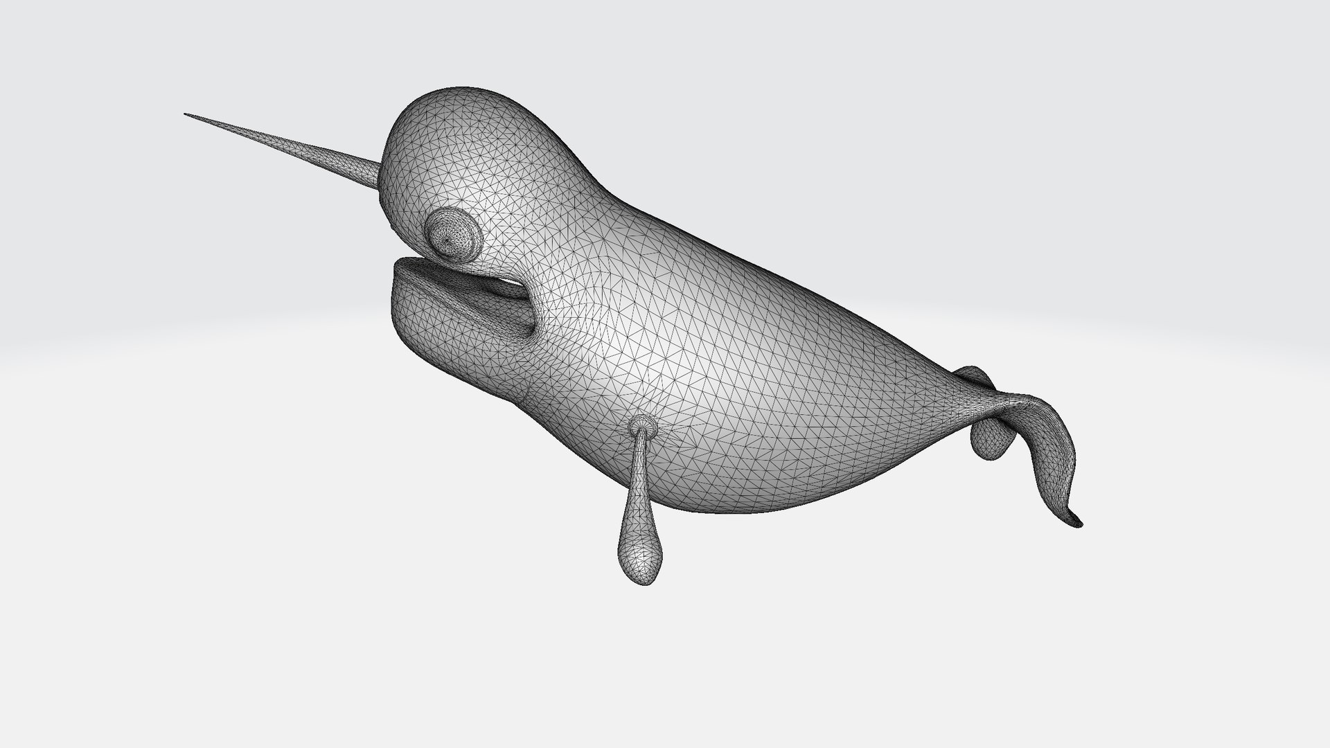 3D Narwhal - TurboSquid 2402387