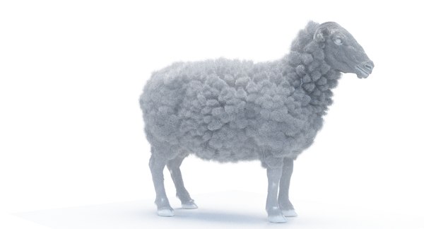 3d model of sheep realistic