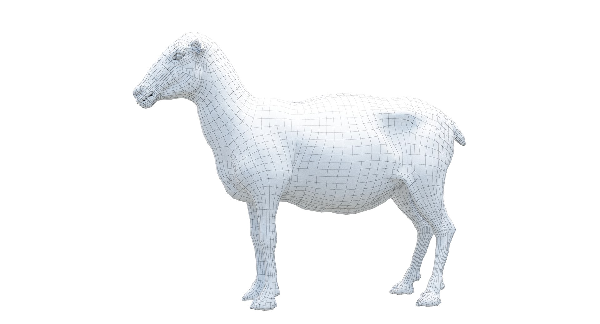 3d Model Of Sheep Realistic