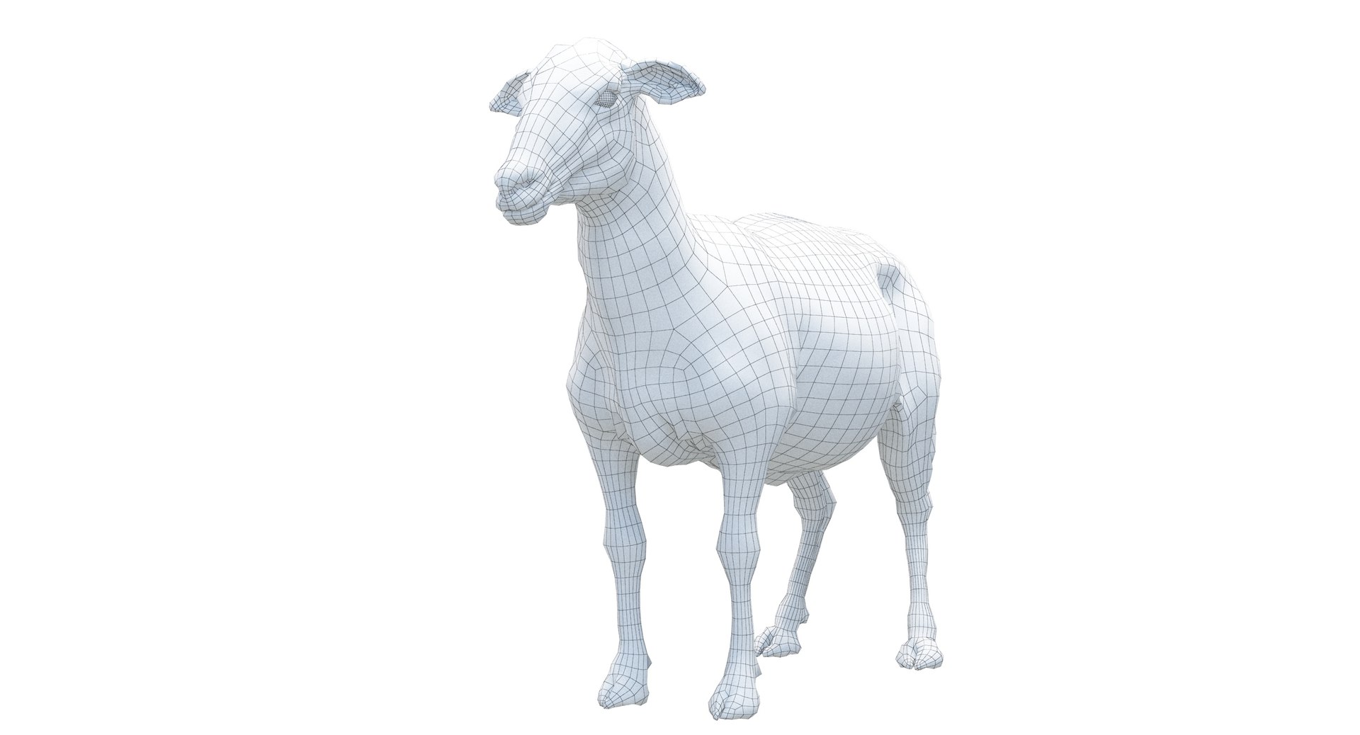 3d Model Of Sheep Realistic