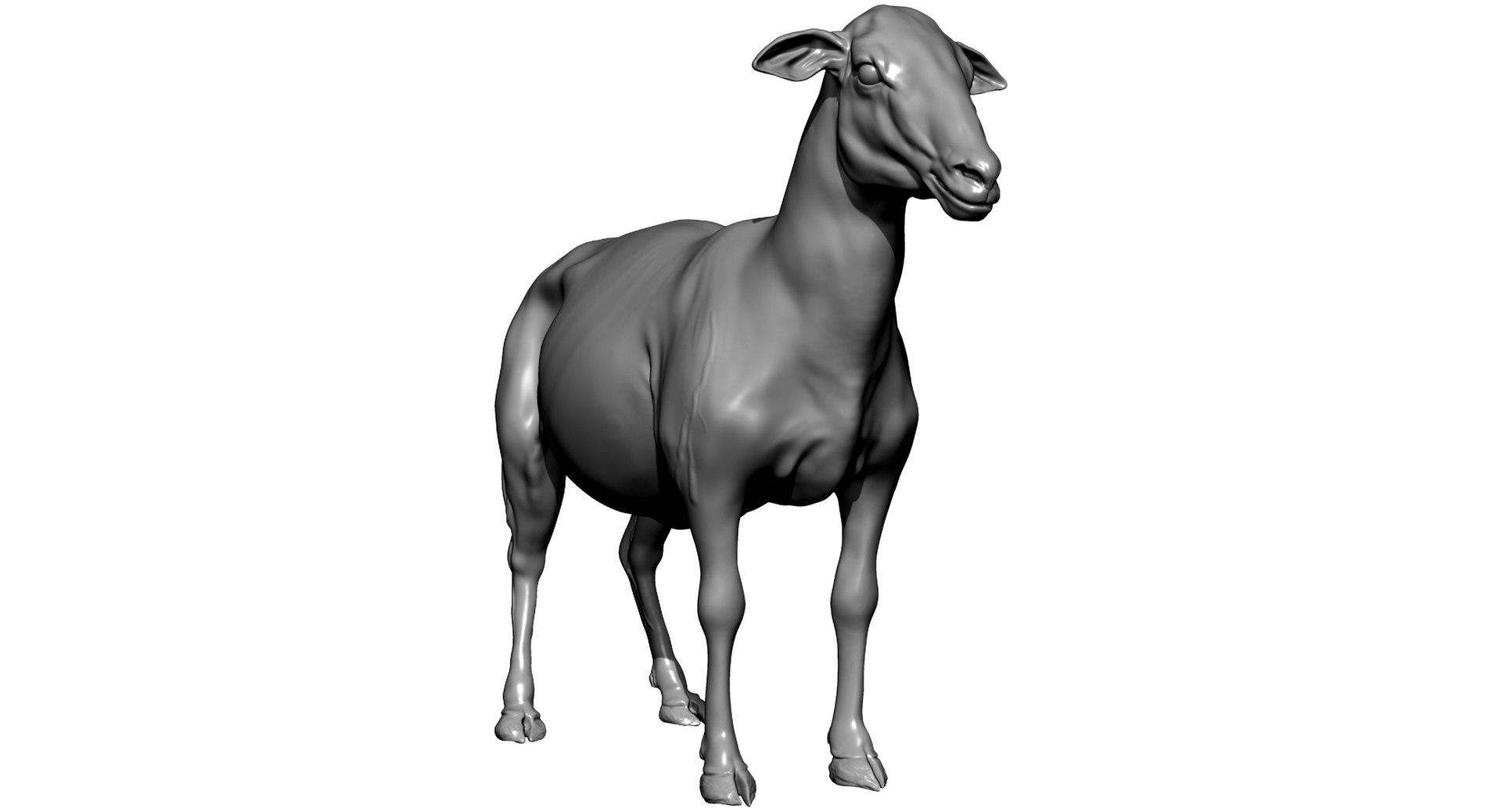 3d Model Of Sheep Realistic