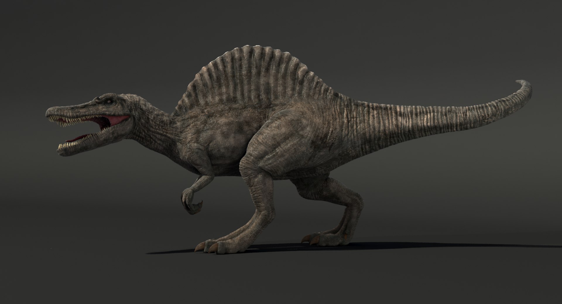 Realistic Spinosaurus Rigged 3d Model