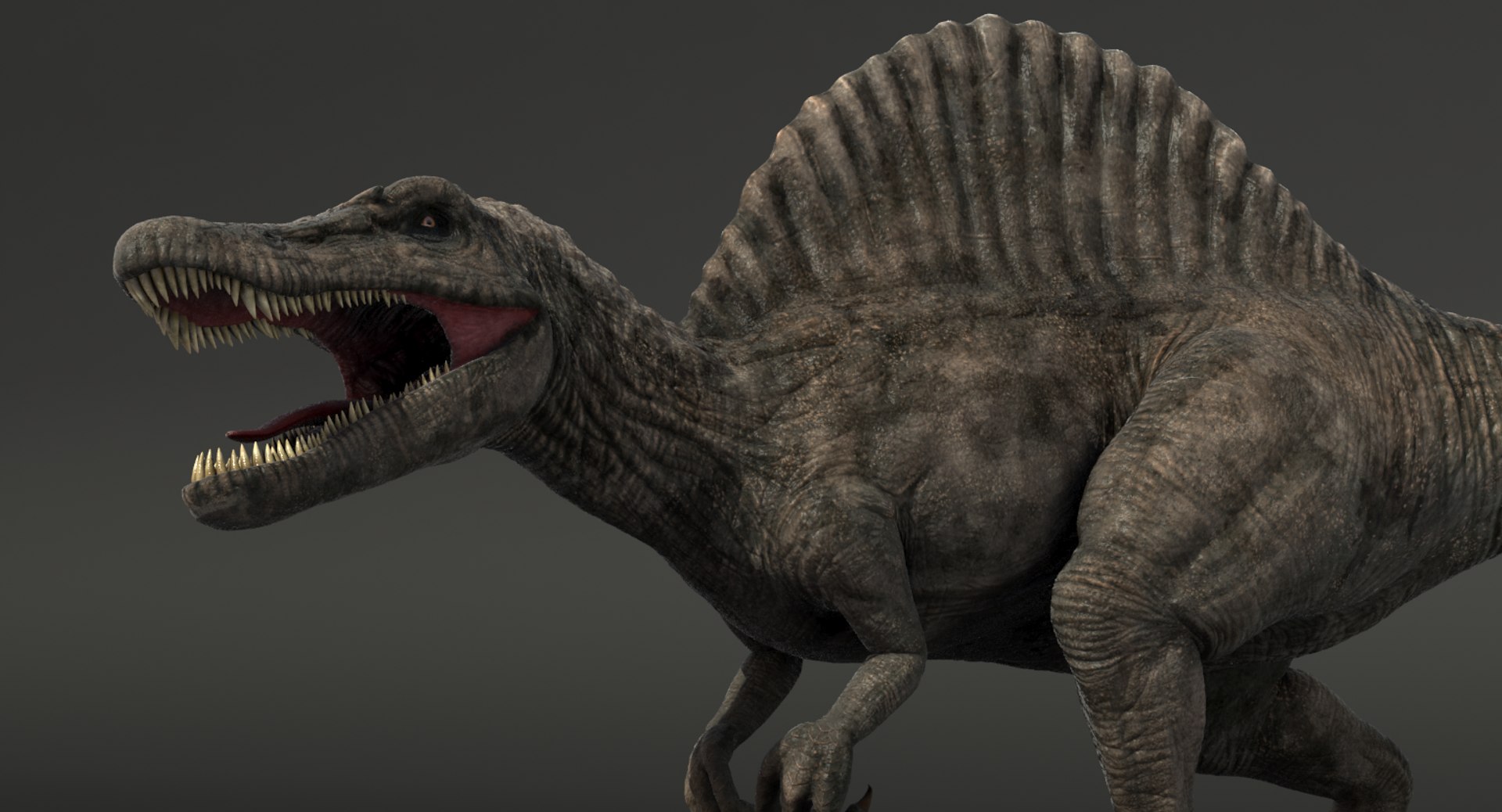 Realistic Spinosaurus Rigged 3d Model
