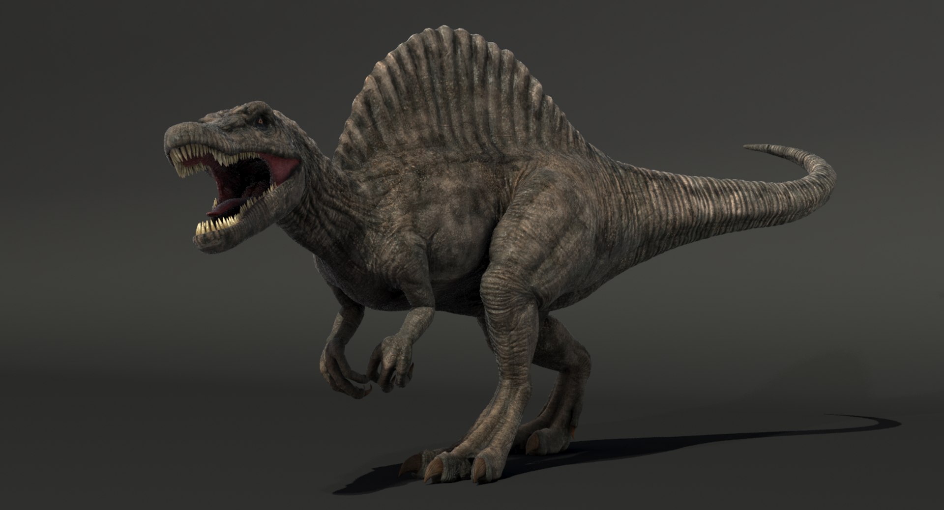Realistic Spinosaurus Rigged 3d Model