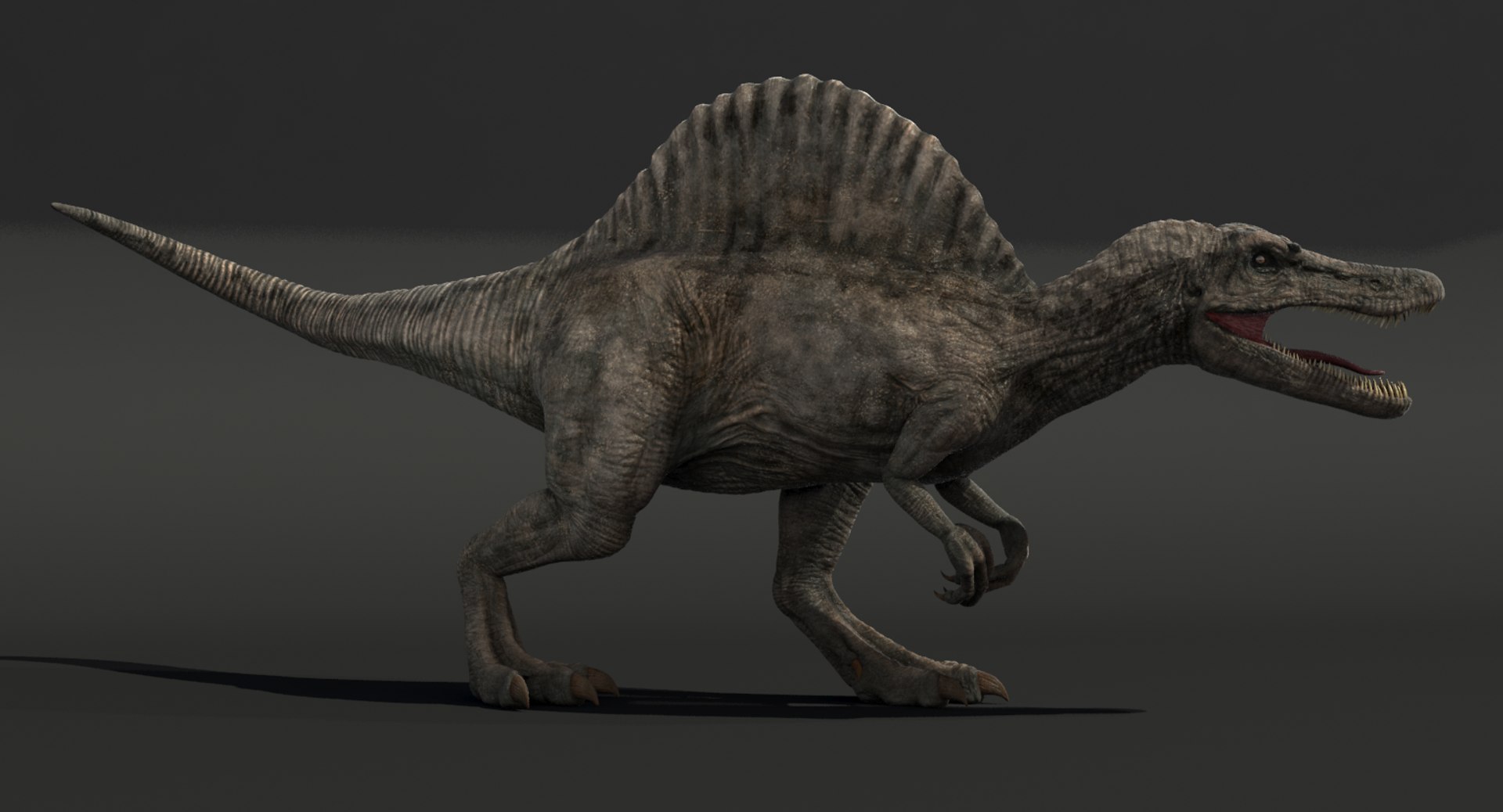 Realistic Spinosaurus Rigged 3d Model